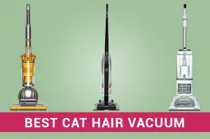Best Vacuum For Cat Hair in 2024 - Cleaning Beasts