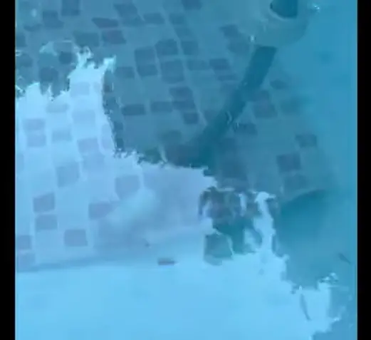 How To Vacuum A Summer Wave Pool - Cleaning Beasts