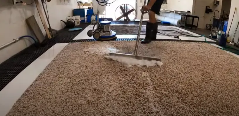 How To Vacuum High Pile Rug - Cleaning Beasts