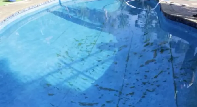 How To Vacuum To Waste With Cartridge Filter - Cleaning Beasts