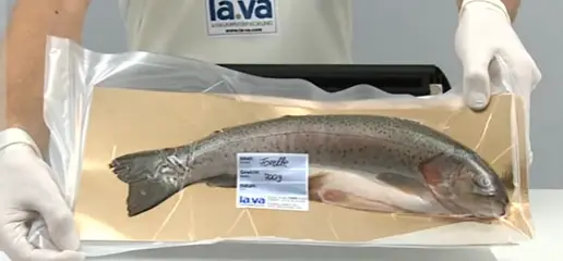 How to Freeze Fish Without Using a Vacuum Sealer - Cleaning Beasts