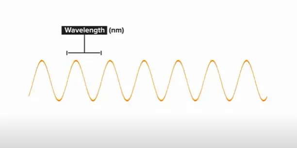 What Is The Speed Of X-Rays In A Vacuum - Cleaning Beasts
