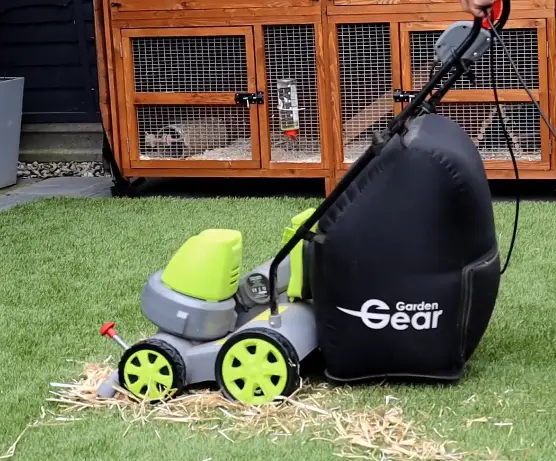 Can You Vacuum Artificial Grass? - Cleaning Beasts